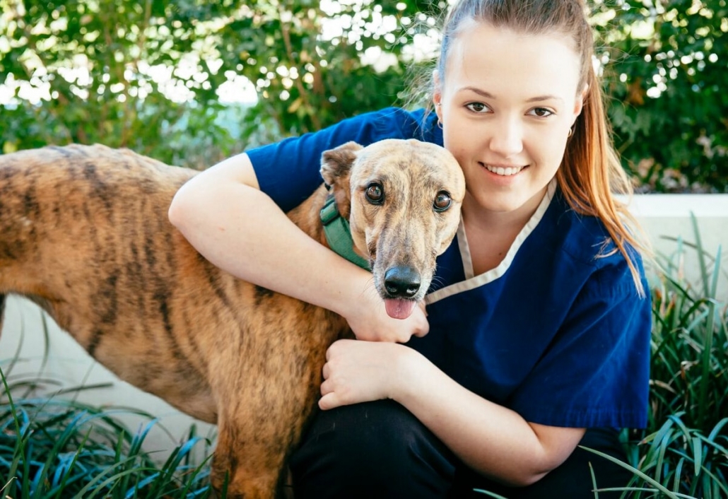Vetwell Vet Practices - Vetwell independent vet practices